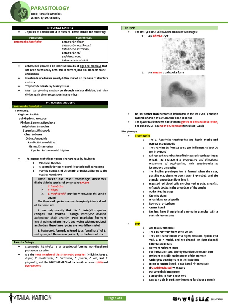 2 Parasitology Parasitic Amoebas | PDF | Biology | Medical Specialties