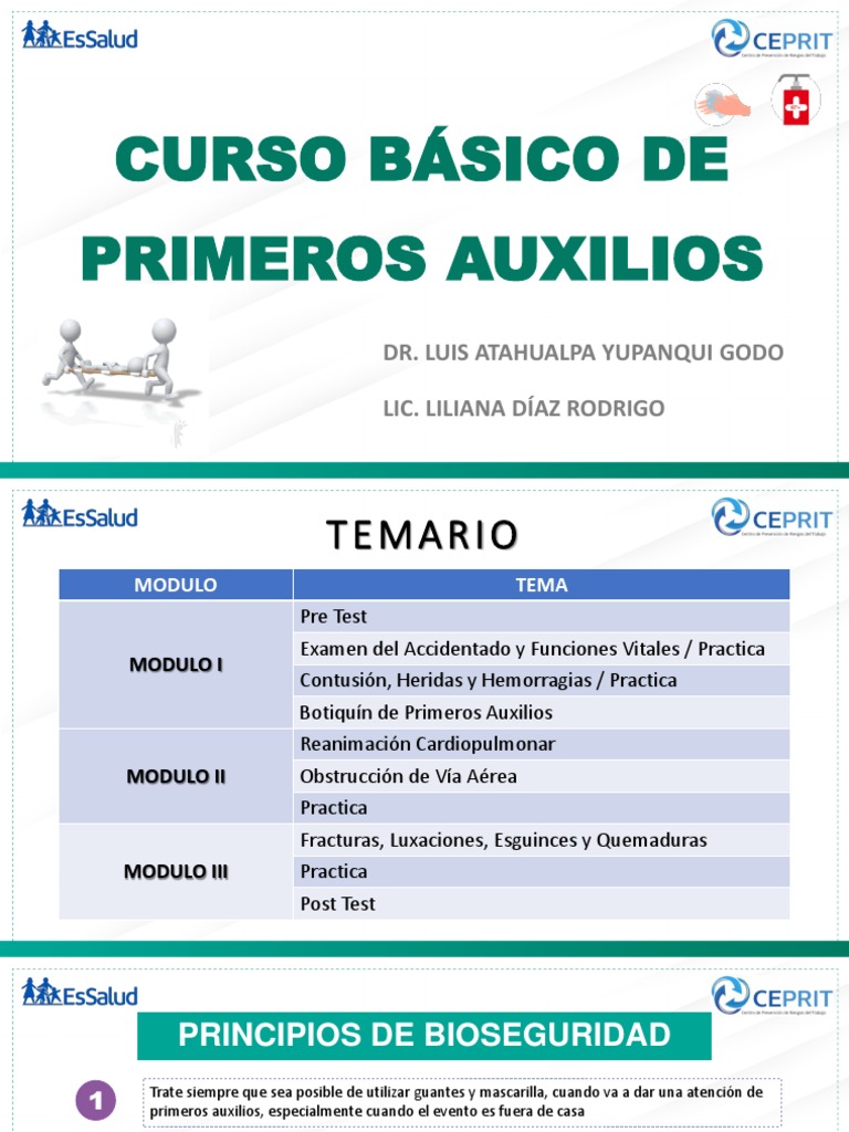 Curso básico de primeros auxilios: Módulos, temario y principios de atención | PDF | Primeros ...