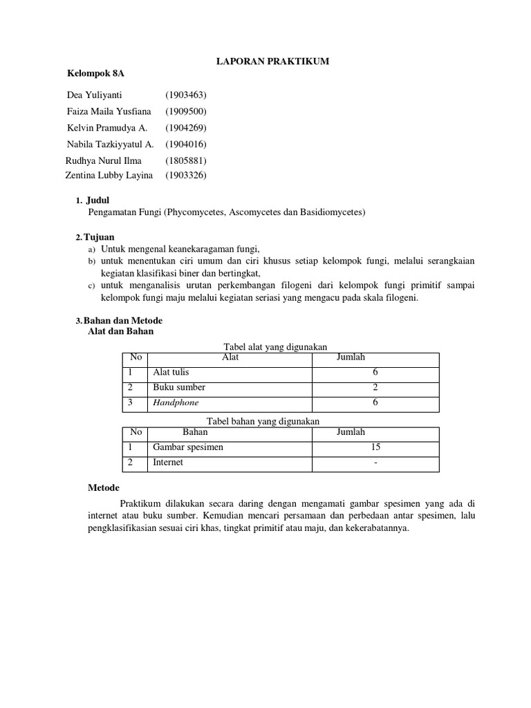 Laporan Praktikum Fungi-Kelompok 8 | PDF
