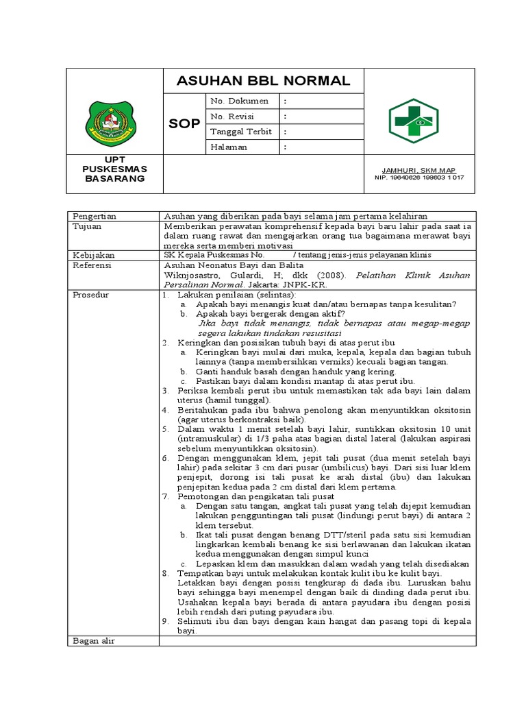 Asuhan BBL Normal | PDF
