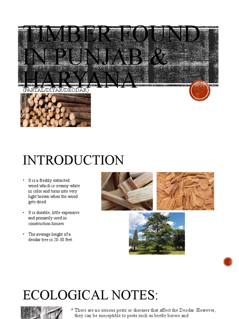 Timber Found in Punjab & Haryana | PDF