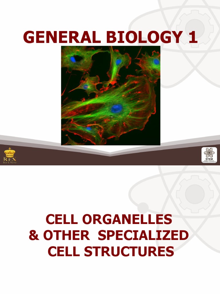2 Cell Organelles and Other Specialized Cell Structures | PDF ...