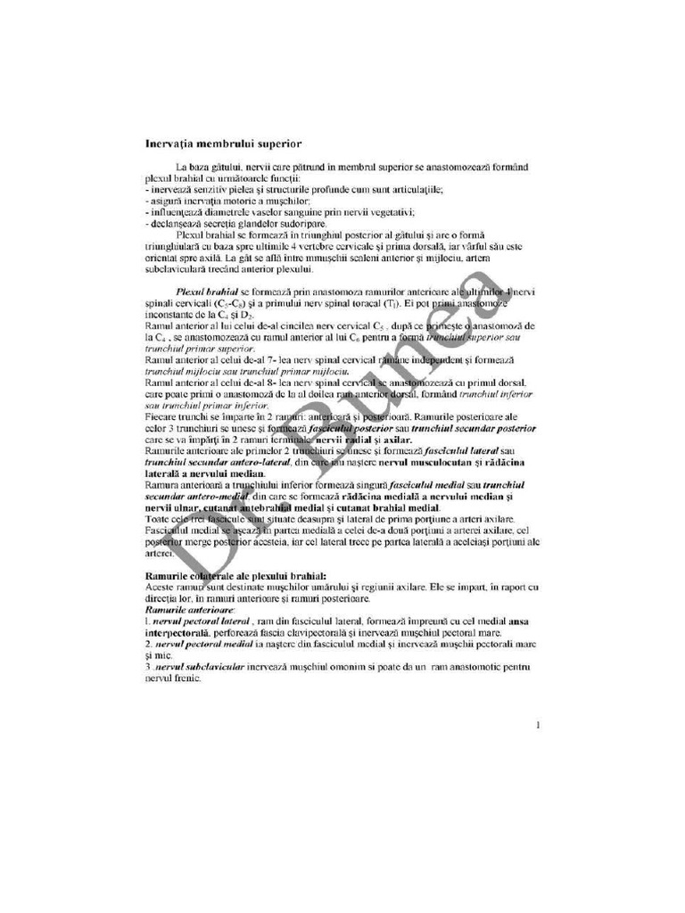 Inervatia Membrului Superior | PDF