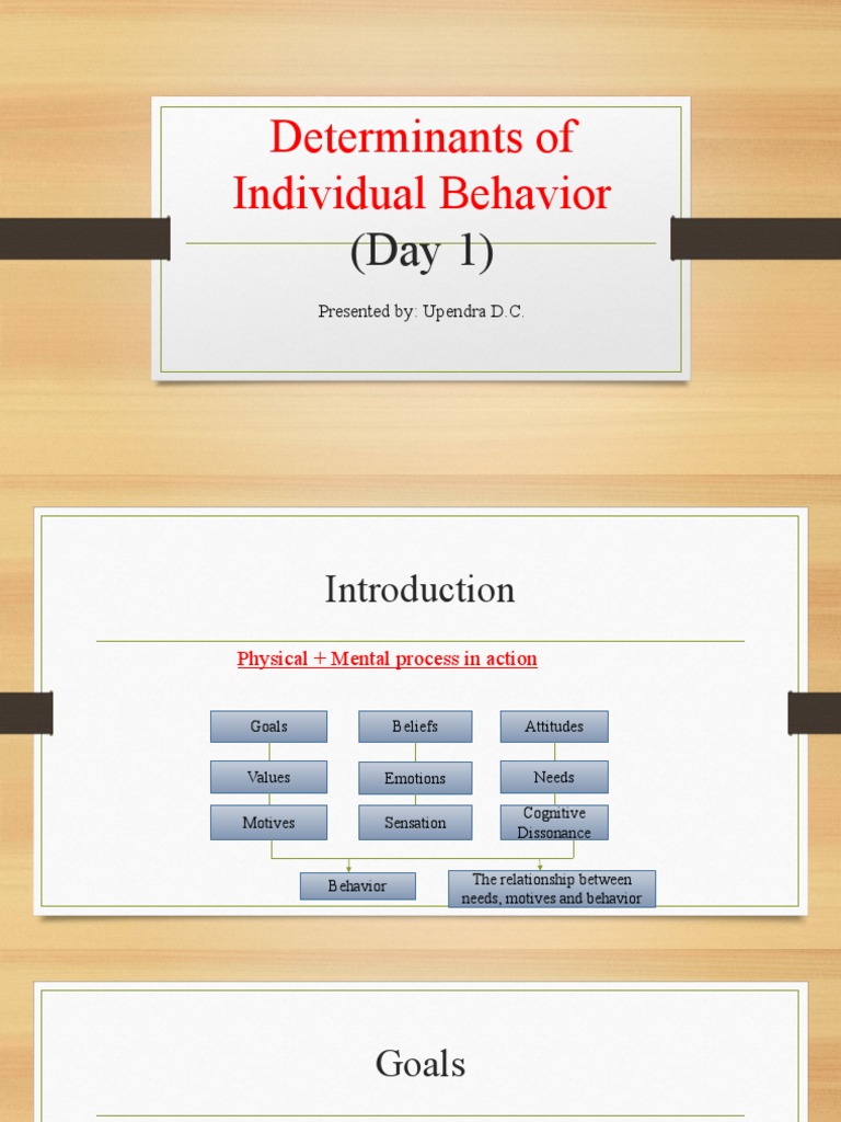 Determinants of Individual Behavior: An Analysis of Goals, Beliefs ...
