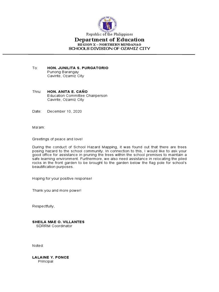 Request Letter (For Barangay Chairperson) | PDF