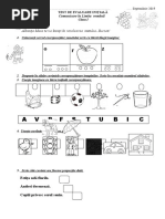 CLR Evaluare Sumativa Modulul I | PDF