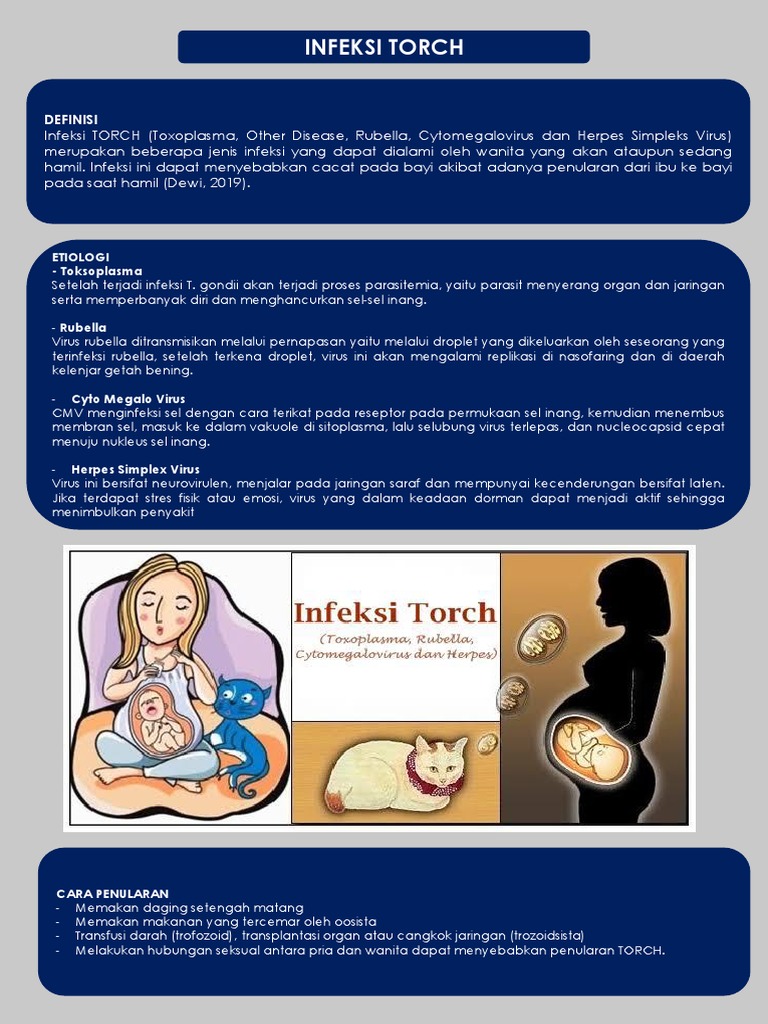 INFEKSI TORCH DALAM KEHAMILAN | PDF