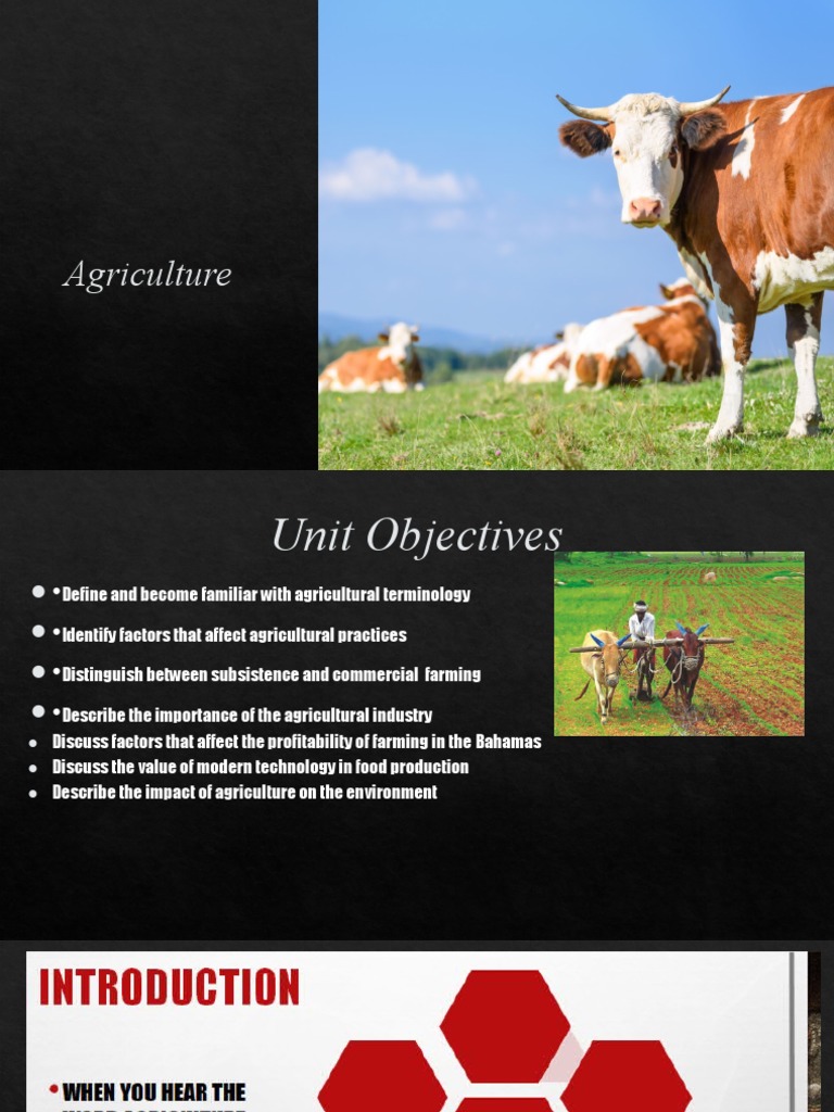 Agriculture in The Bahamas | PDF | Agriculture | Hydroponics