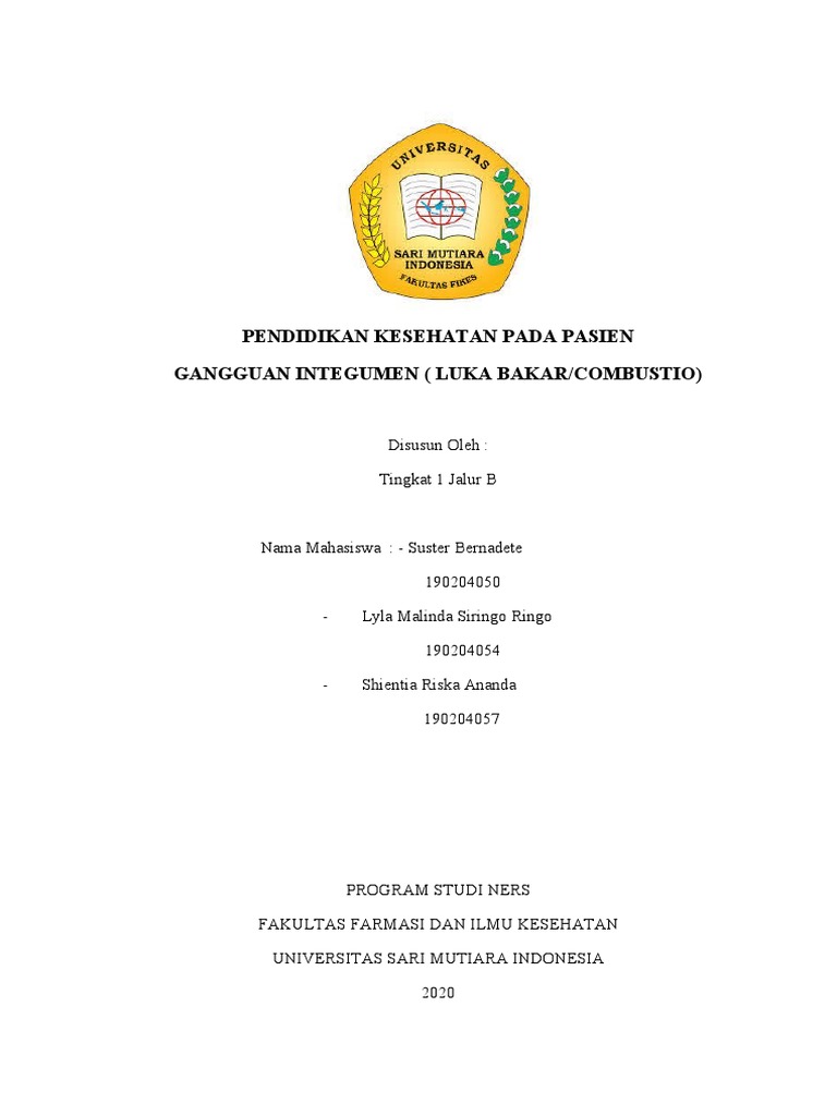 Pendidikan Kesehatan Pada Pasien GGN Integumen | PDF