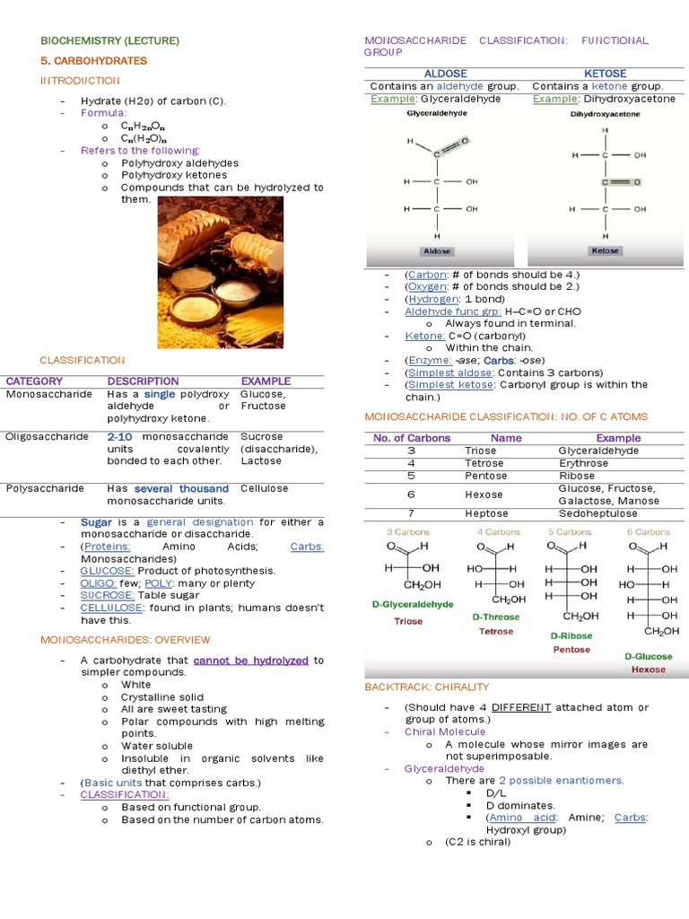 Carbohydrates Notes | PDF | Polysaccharide | Carbohydrates