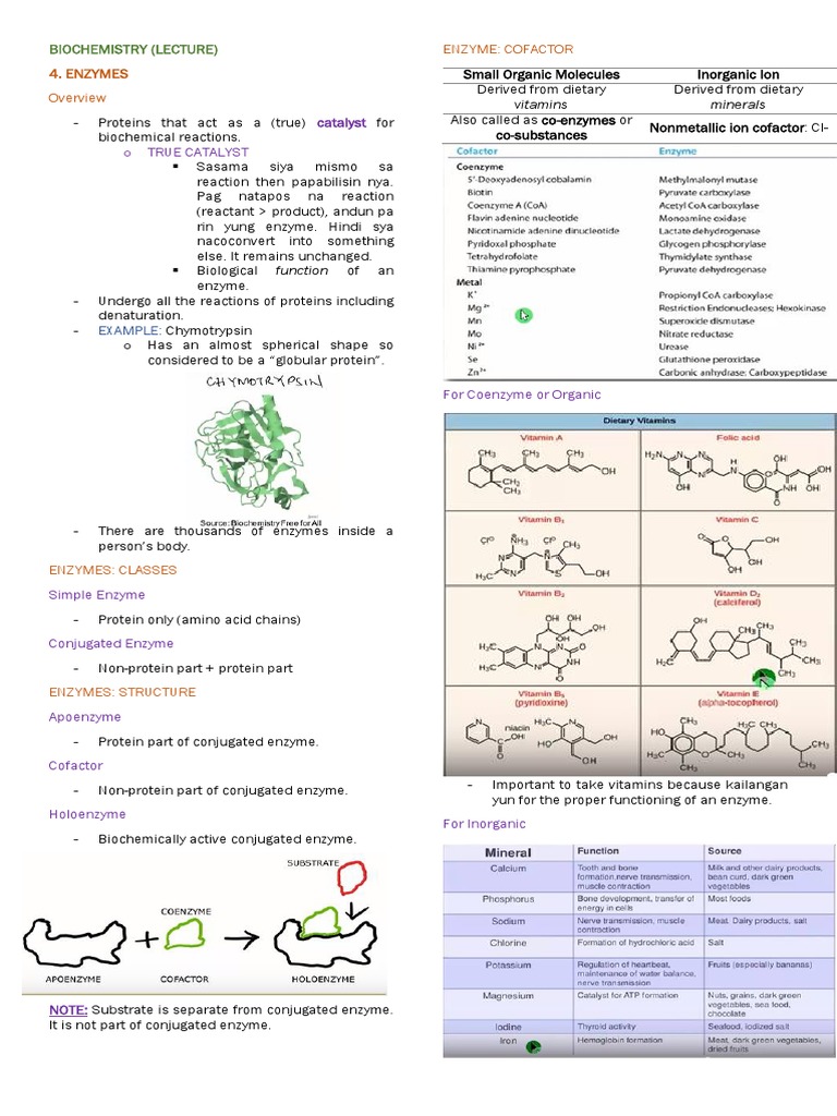 Catalyst O True Catalyst: Example | PDF | Enzyme | Enzyme Inhibitor