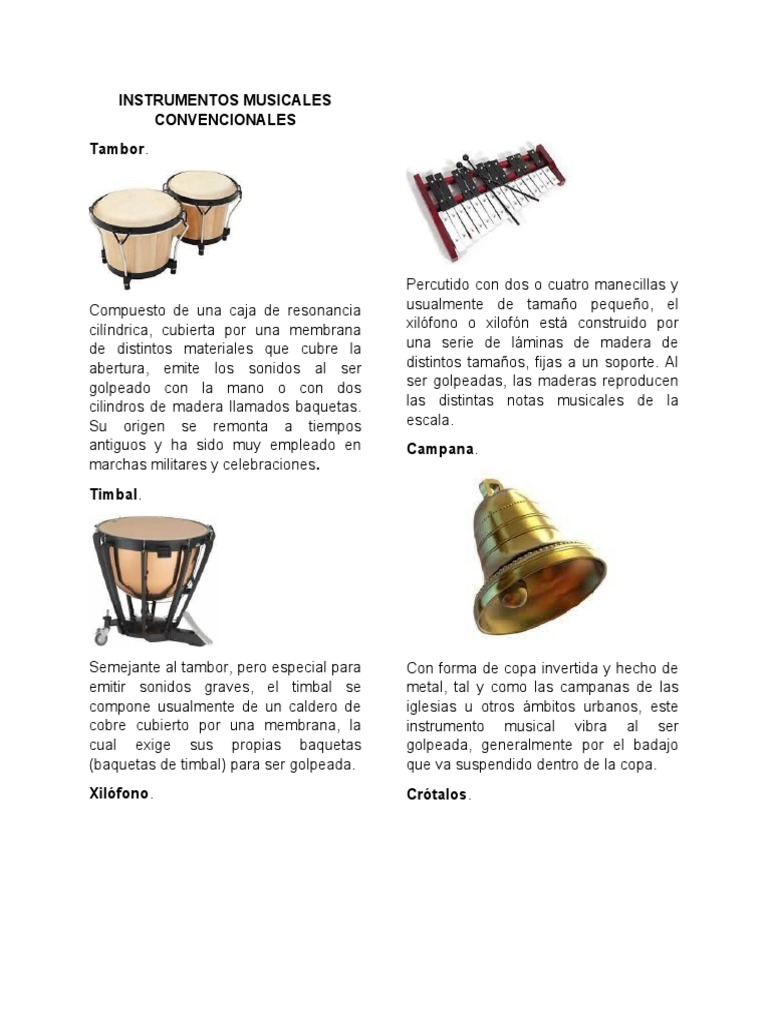Instrumentos Musicales Convencionales + | PDF | Tambor | Gaiaphones