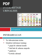 Pemeriksaan Sedimen Urine Lengkap | PDF