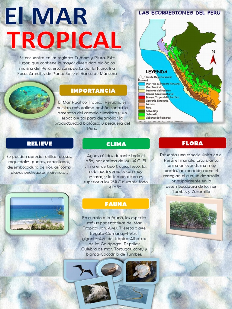 Infografia Ecorregion | PDF
