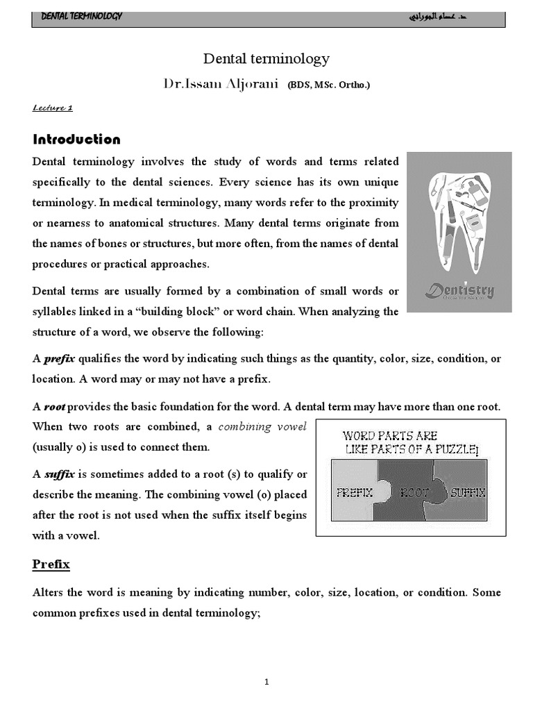 Understanding Dental Terminology | PDF | Tooth | Dentistry