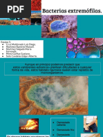 Microorganismos Termófilos y Ejemplos | PDF | Las bacterias | Archaea