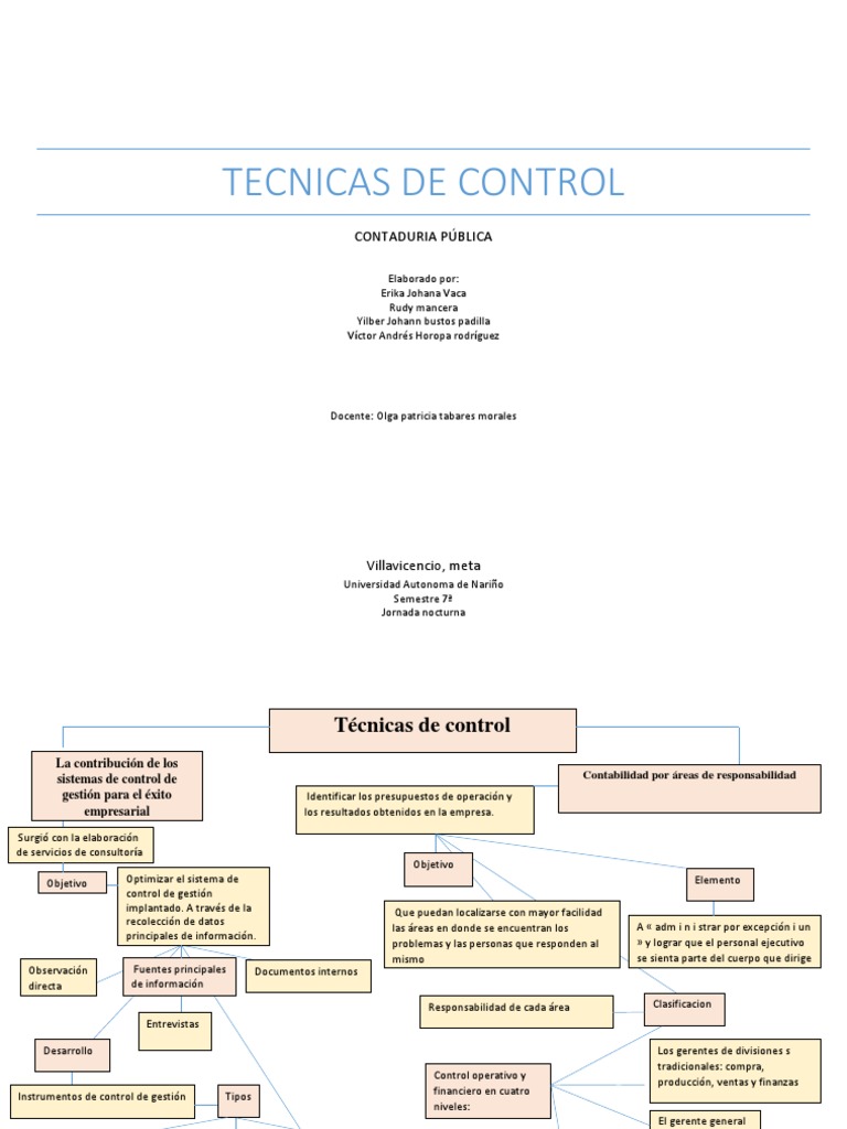 Mapa Conceptual Tecnicas de Control3 | PDF | Presupuesto | Economias