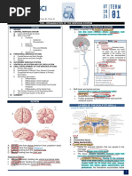 Cognitive Frames of Reference in OT | PDF | Psychotherapy | Cognitive ...