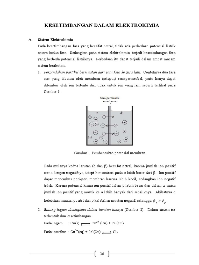Kesetimbangan Dalam Elektrokimia | PDF