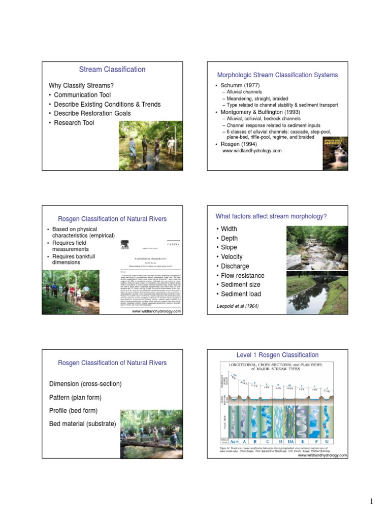 Morphologic Stream Classification Systems | PDF | River | Aquatic Ecology