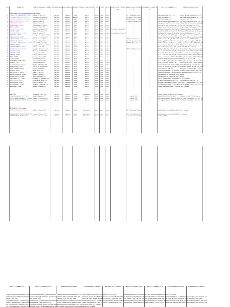 Kumpulan Data Kary Div. Prod. PIP | PDF