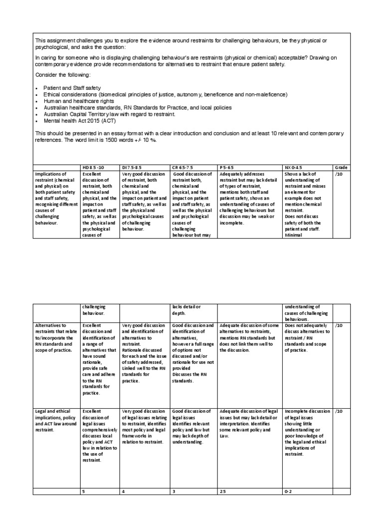 INC 4 Rubric - Assignment 1 | PDF | Patient Safety | Safety