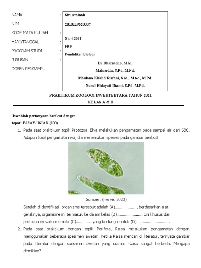 Ujian Praktikum Zoologi Invertebrata | PDF