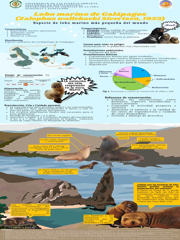 Infografía Lobo Marino | PDF | Organismos | Biología