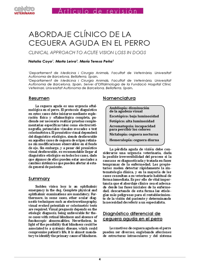 Abordaje de la ceguera aguda en perros | PDF | Ojo humano | Percepción ...
