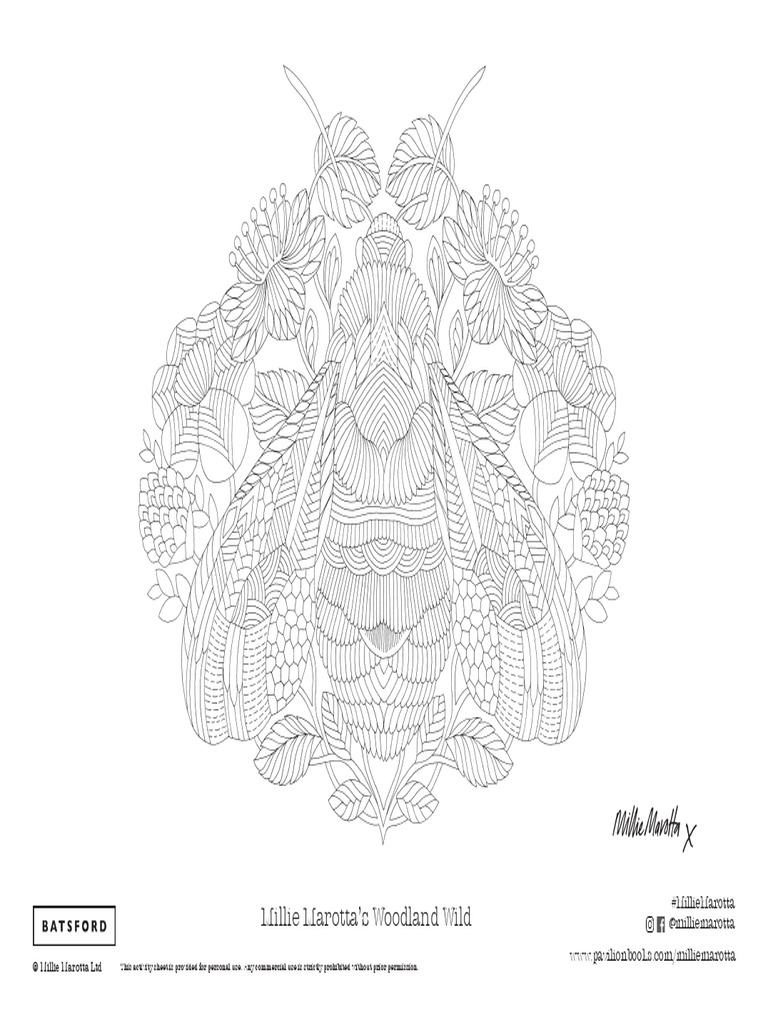 Woodland Wild - Colouring Sheets Dragged | PDF