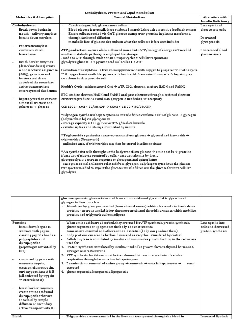 Metabolism of Carbohydrates, Proteins, Lipids | PDF | Lipoprotein ...