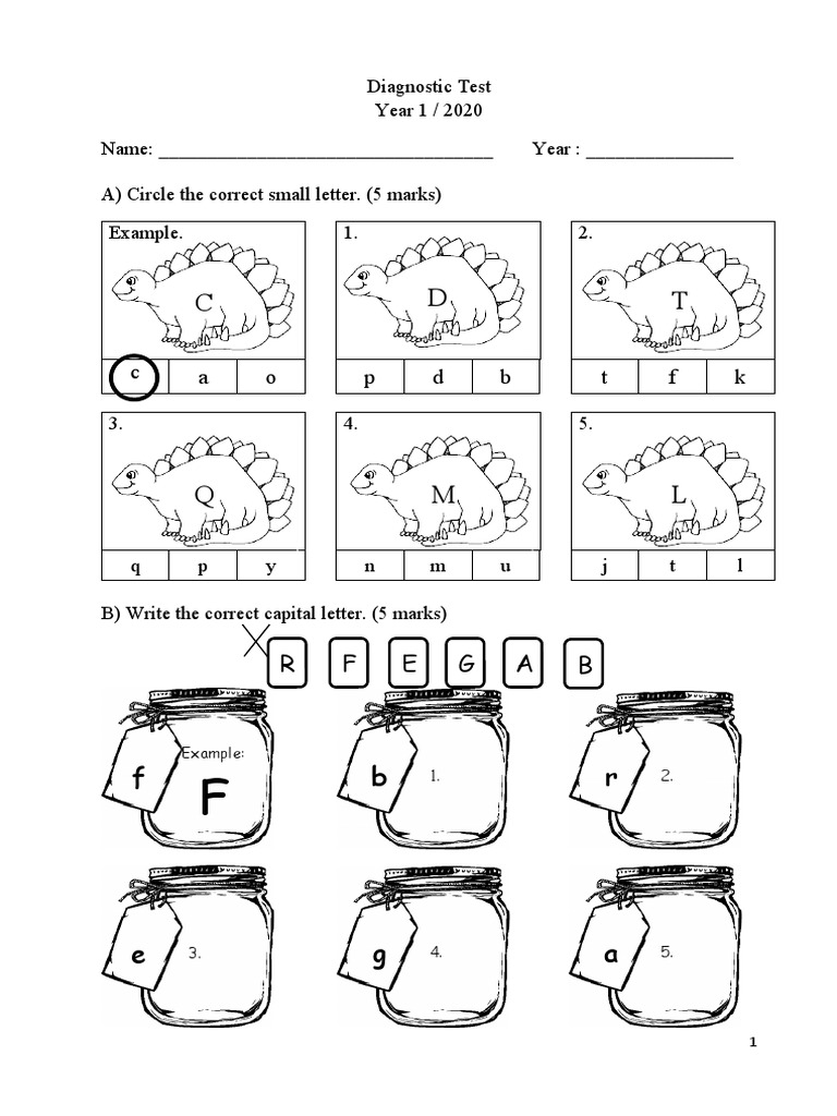 Diagnostic Test Year 1 | PDF | Tools | Writing Implements