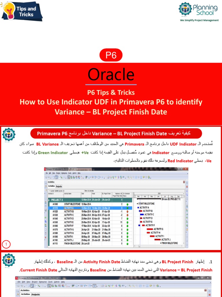 How To Use Indicator UDF in Primavera P6 To Identify Variance - BL ...