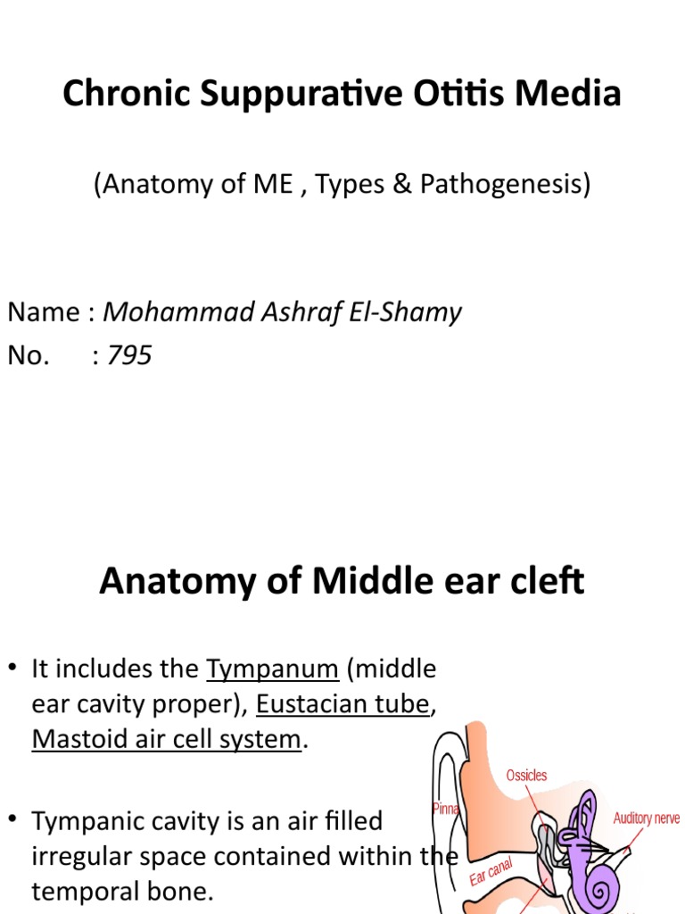 Anatomy & Pathogenesis of CSOM | PDF | Ear | Otology
