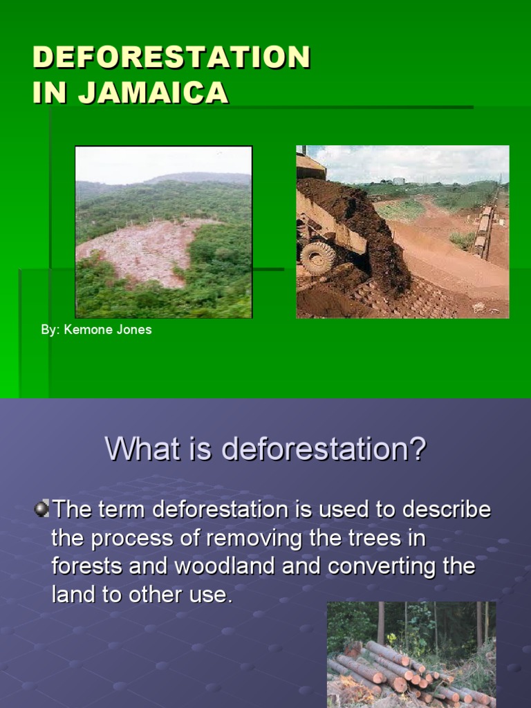 Deforestation in Jamaica | PDF | Deforestation | Climate Change