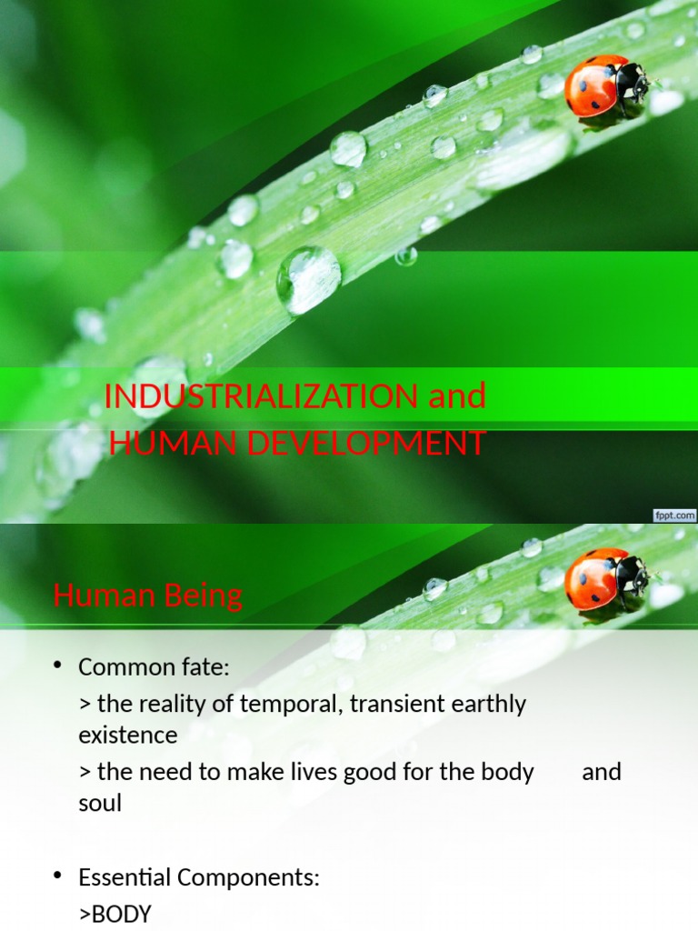 Industrialization and Human Development | Download Free PDF ...