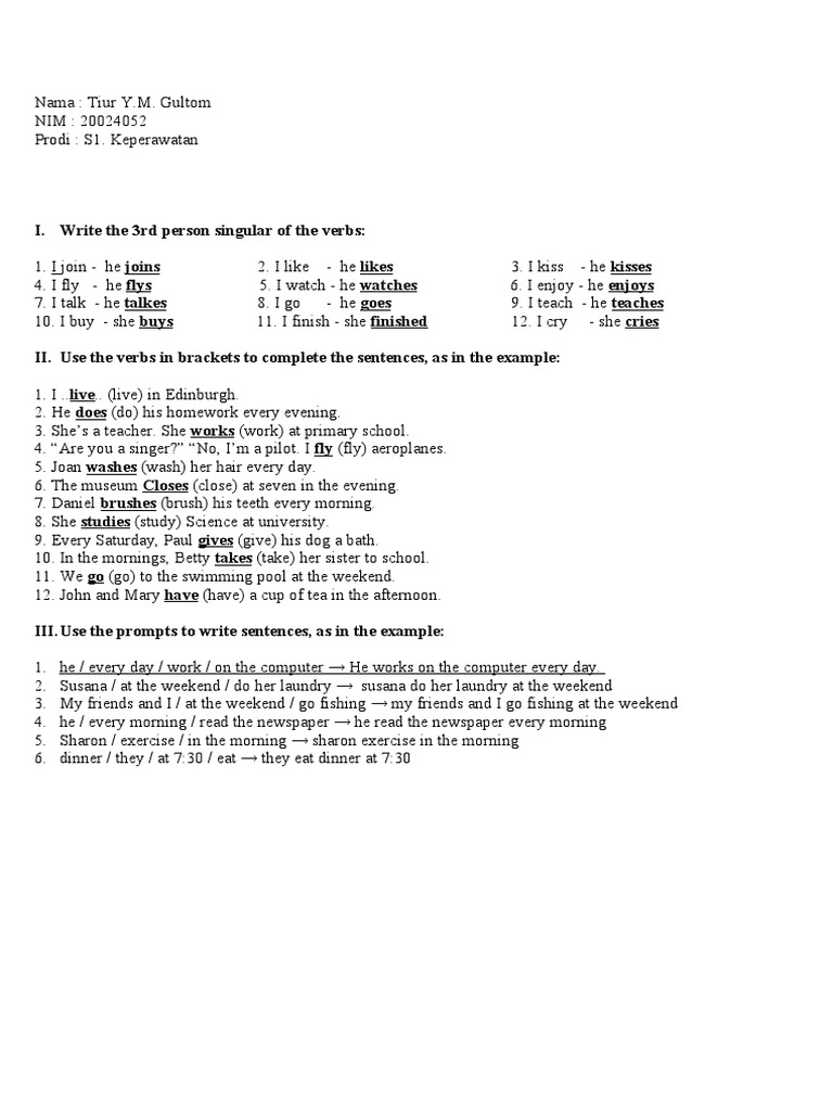 Exercise Simple Present Tense | PDF