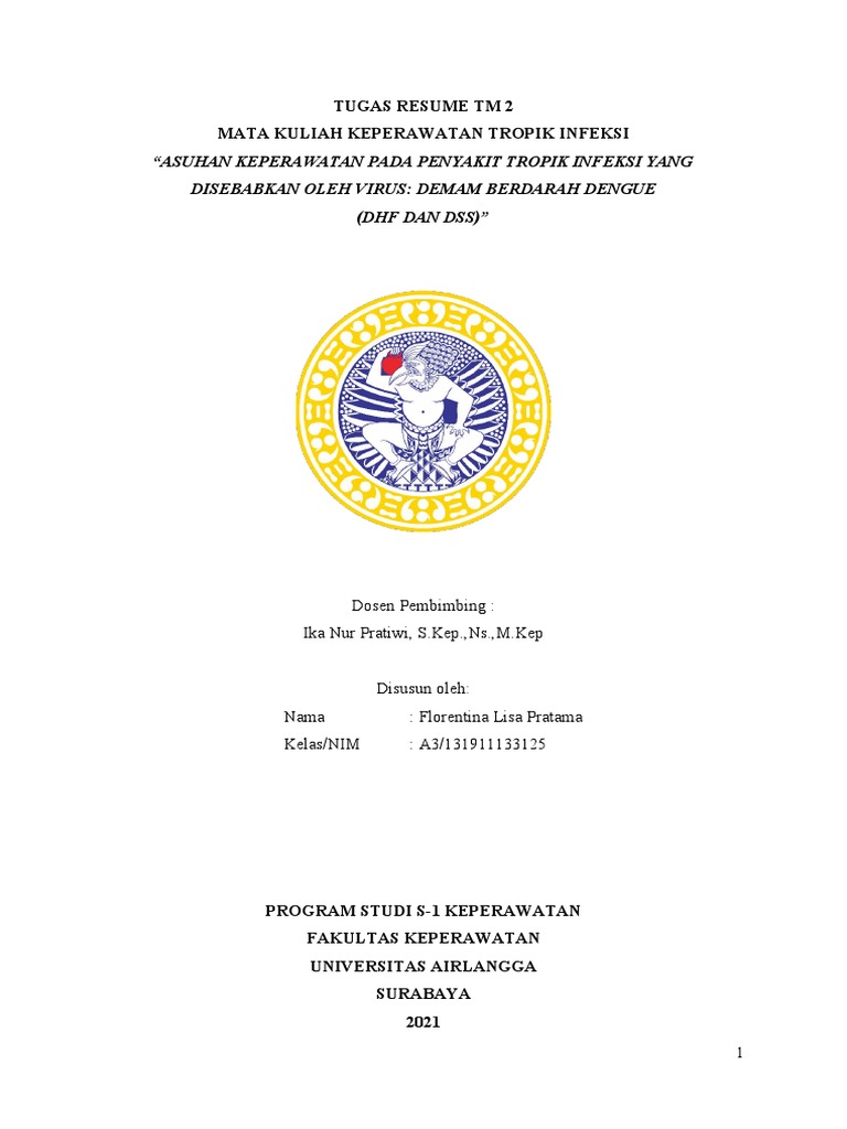 DHF Dan DSS | PDF