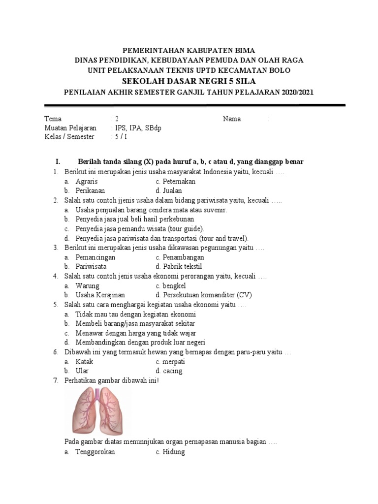 PAS Tema 2 IPS, IPA, SBDP | PDF