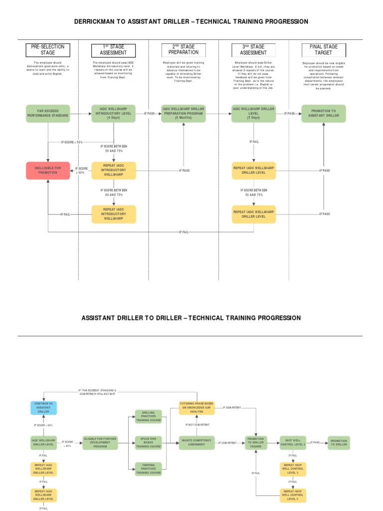 SAS Talent Development Program | PDF | Applied Psychology | Learning