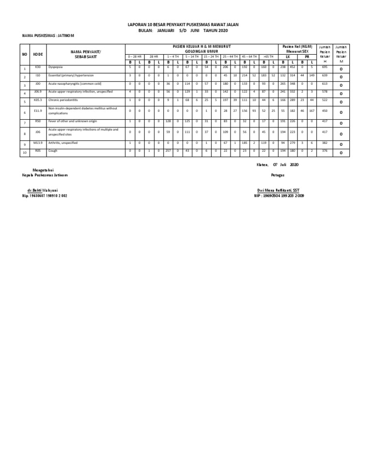 Laporan 10 Besar Penyakit Puskesmas Rawat Jalan | PDF