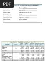 Balance Sheet Provisional | PDF | Balance Sheet | Expense