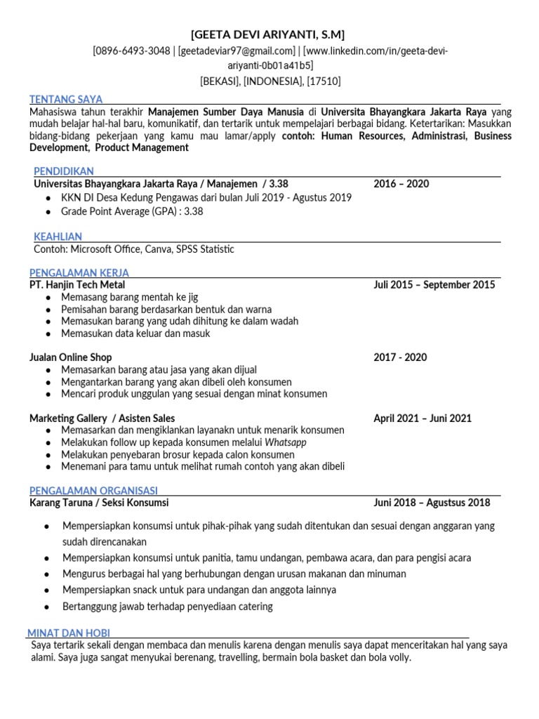 Template CV ATS | PDF