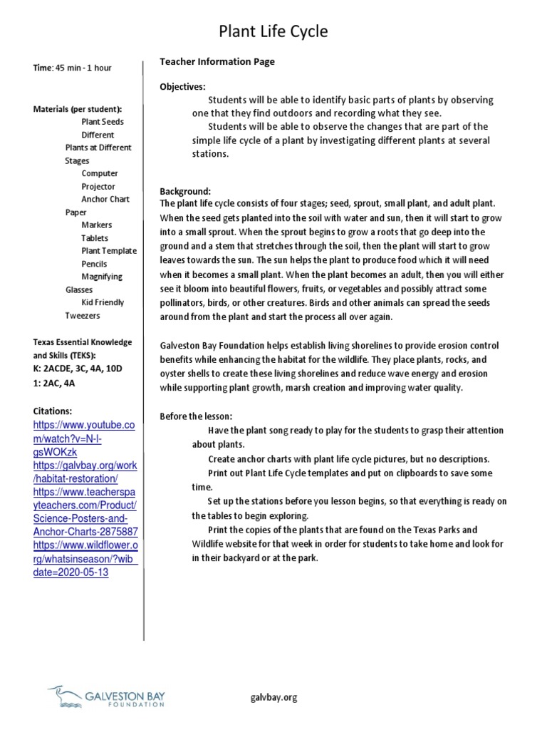 Plant Life Cycle | PDF | Plants | Flowers