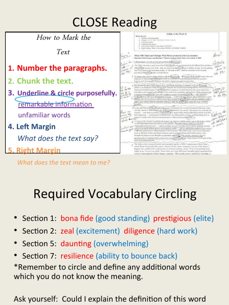 Liz Murray PowerPoint | PDF | Cognition | Cognitive Science