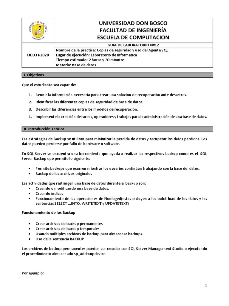 Backup en SQL Server | PDF | Servidor SQL de Microsoft | Apoyo