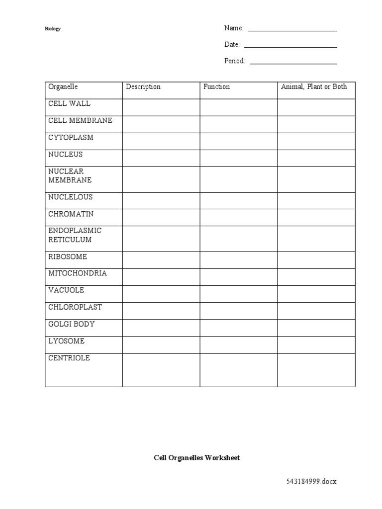Biology: Cell Organelles Worksheet | PDF | Cell (Biology) | Eukaryotes