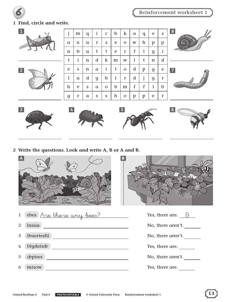 Åre There Any Bee ? Š: Reinforcement Worksheet 1 | PDF