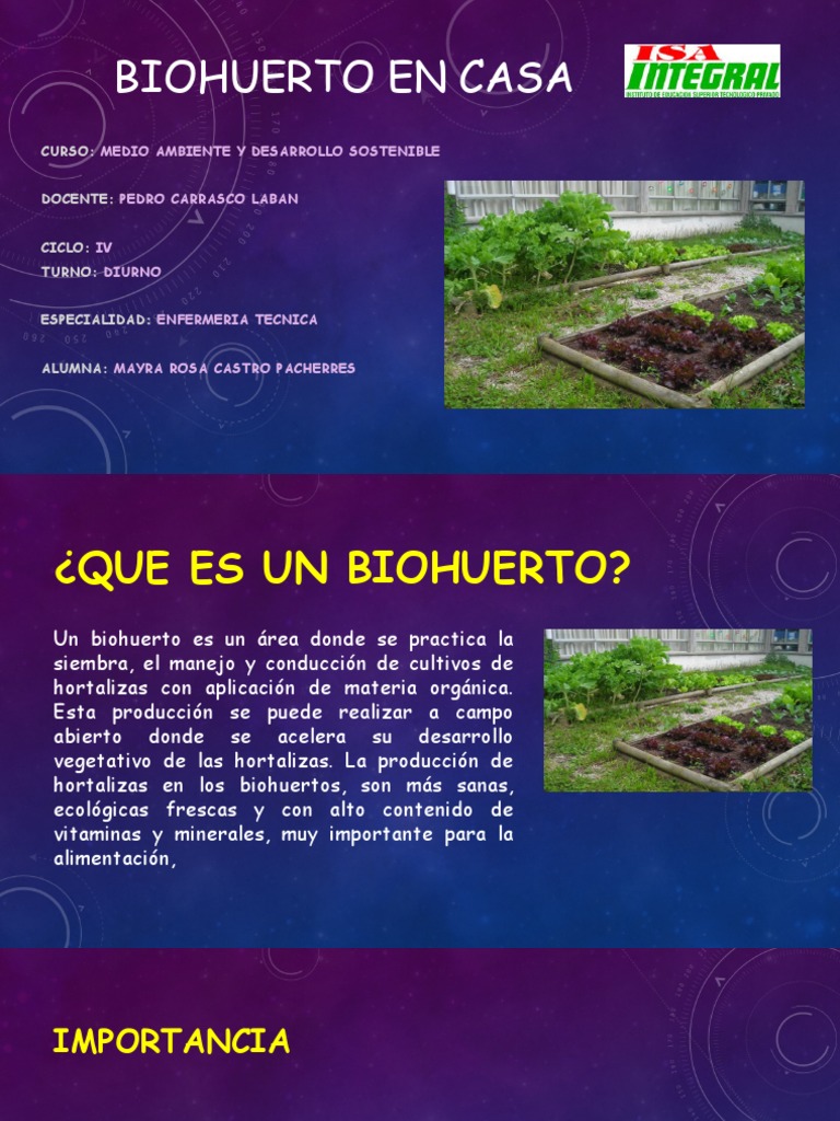 Biohuerto en Casa Diapo | PDF