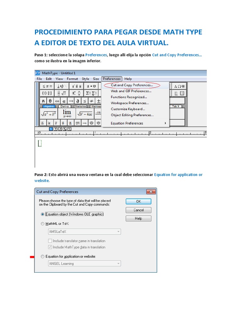 Tutorial Copiar y Pegar Desde Math Type A Aula Virutal. | PDF